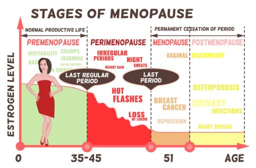 Estrogen Level Chart Menopause Beauty Wellness